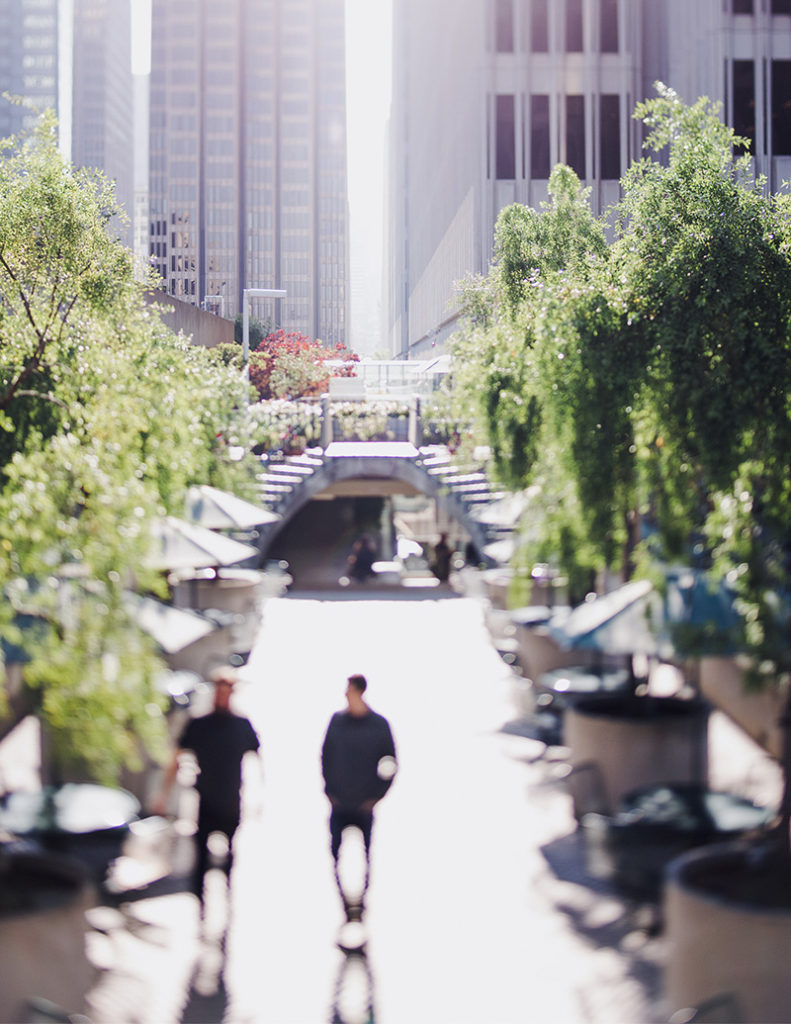 Falcon Fuel – Delivering Energy to Fuel Your Growth